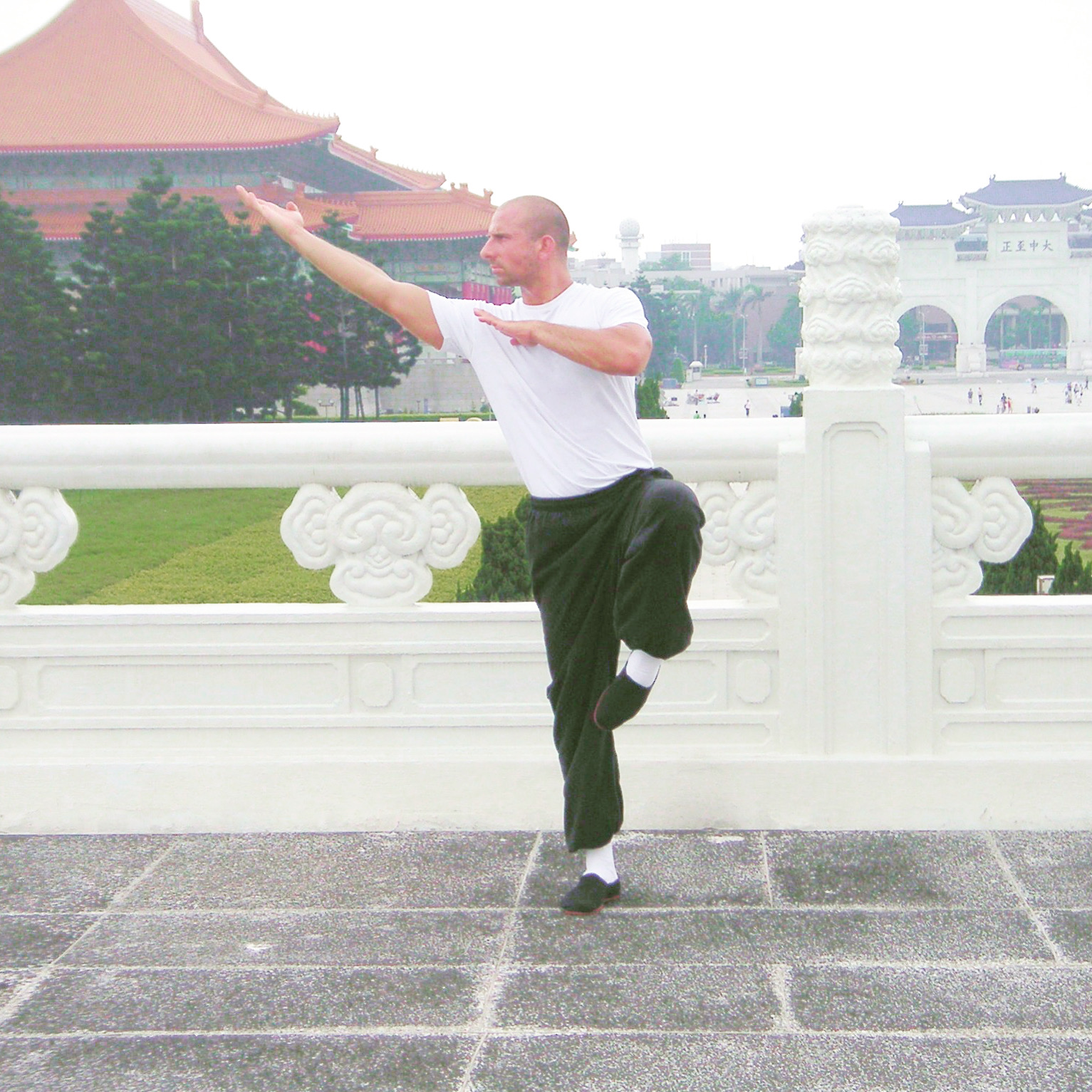 Kung Fu Classes Plano TX